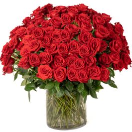 Stunning 100 Red Roses Arranged Beautifully